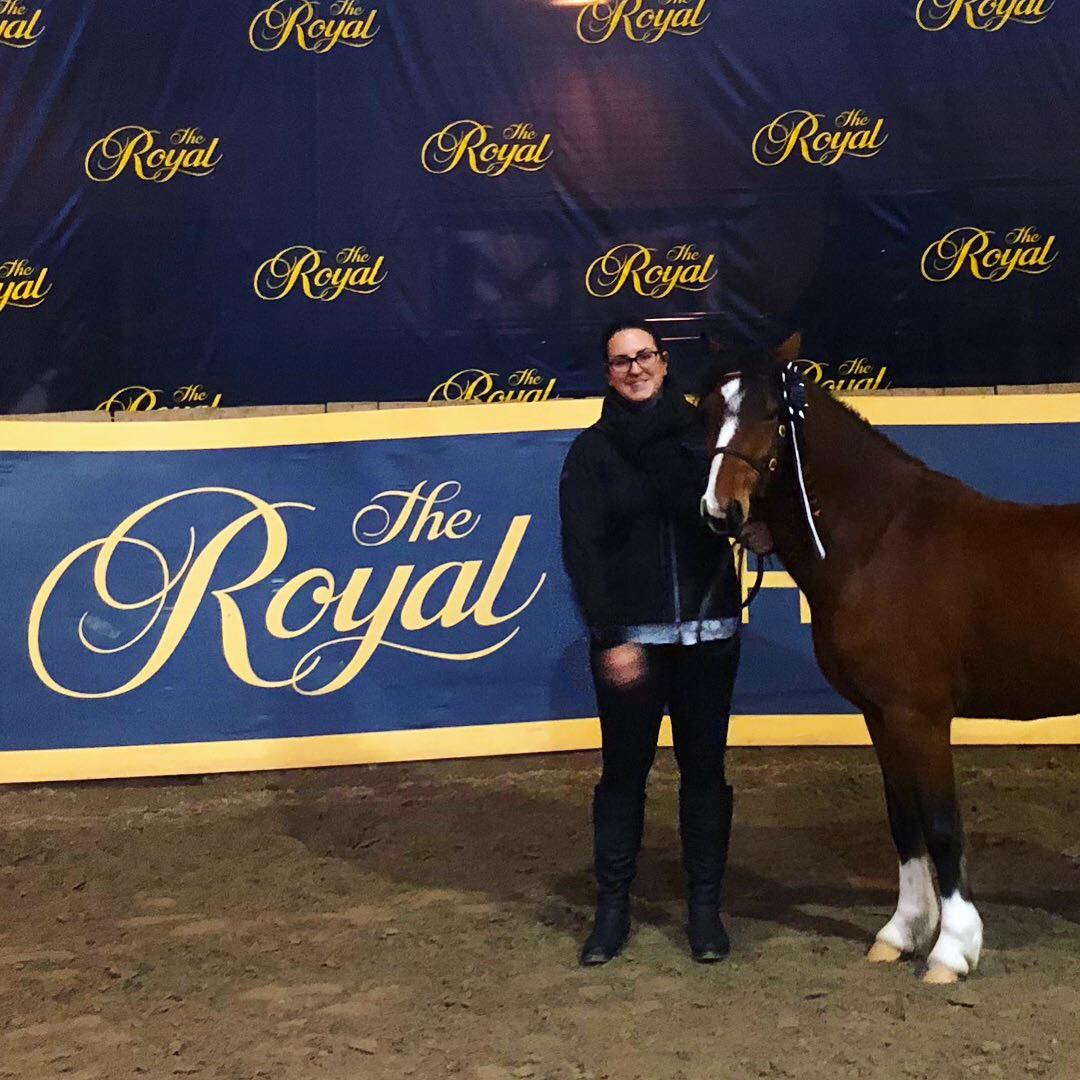 Horse Shows - The Massey Fair