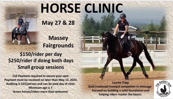 The Massey Fair - The Massey Fair