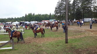 Attractions - The Massey Fair